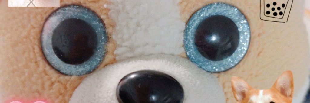 CORGI TB🧡💫🐶 И Милая ЗаНтА🐰+🫎