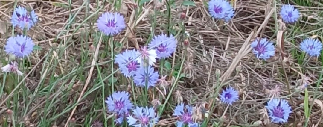 !🤗ВИДЕО ИГРУШКИ💯❤!