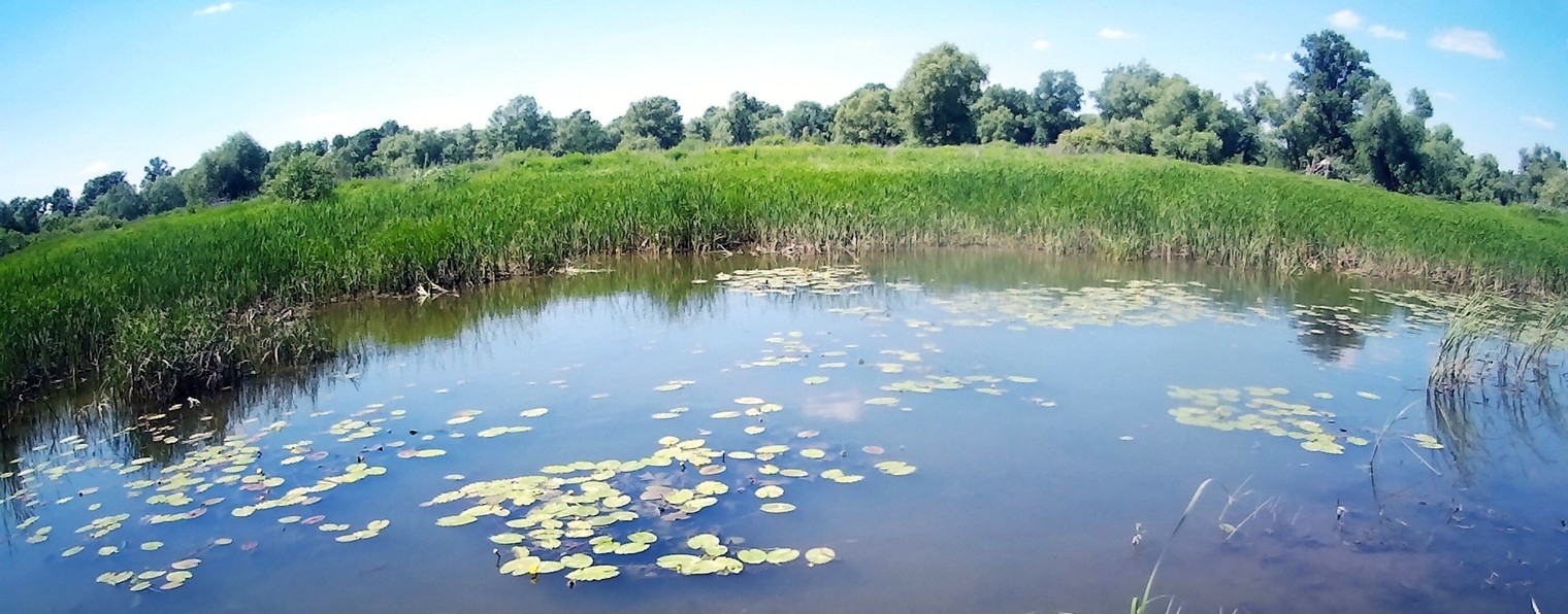 Самарский Краевед