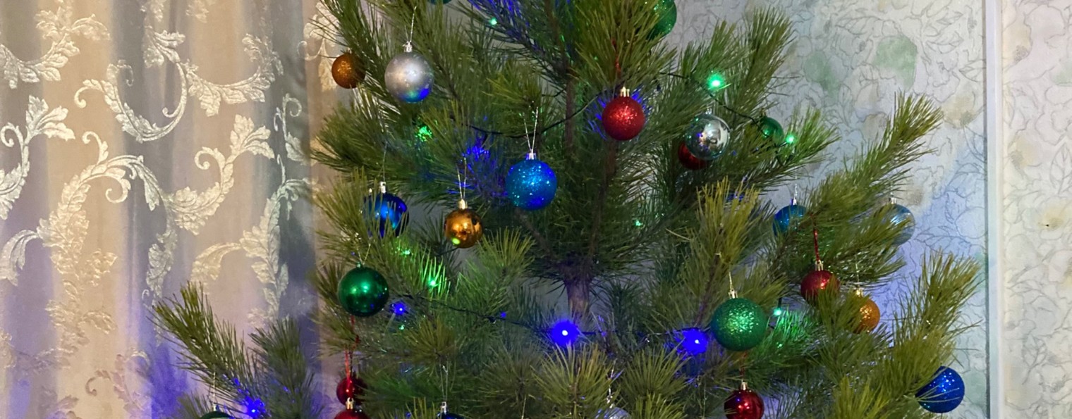 Синеокие ☘️