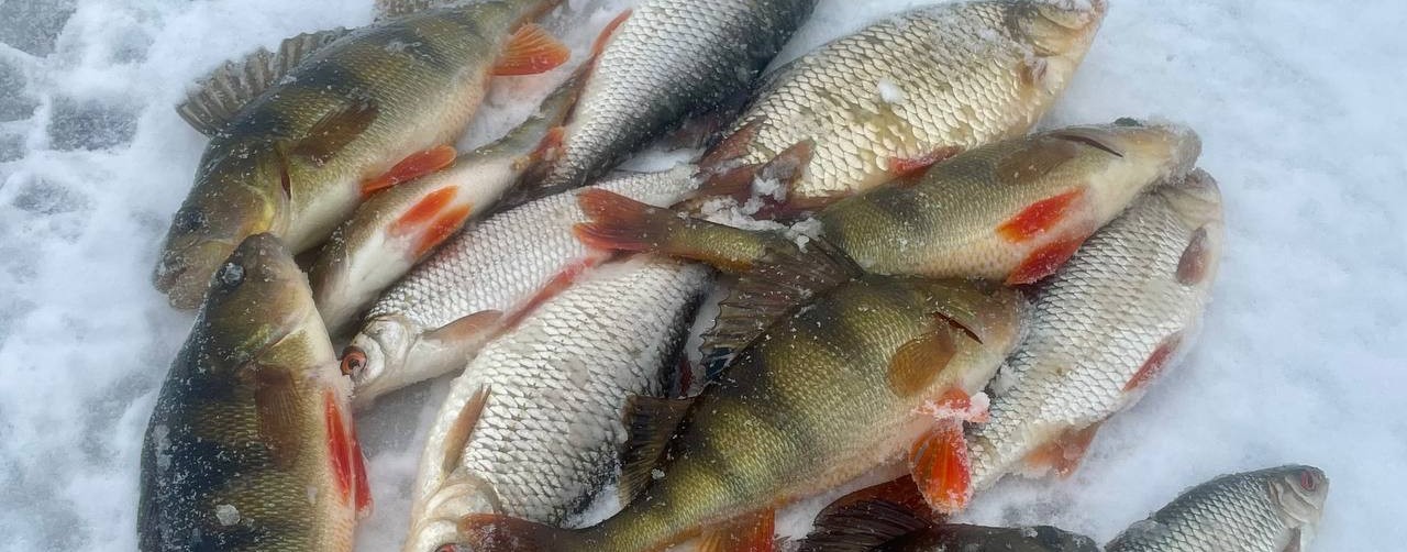 FishingScience