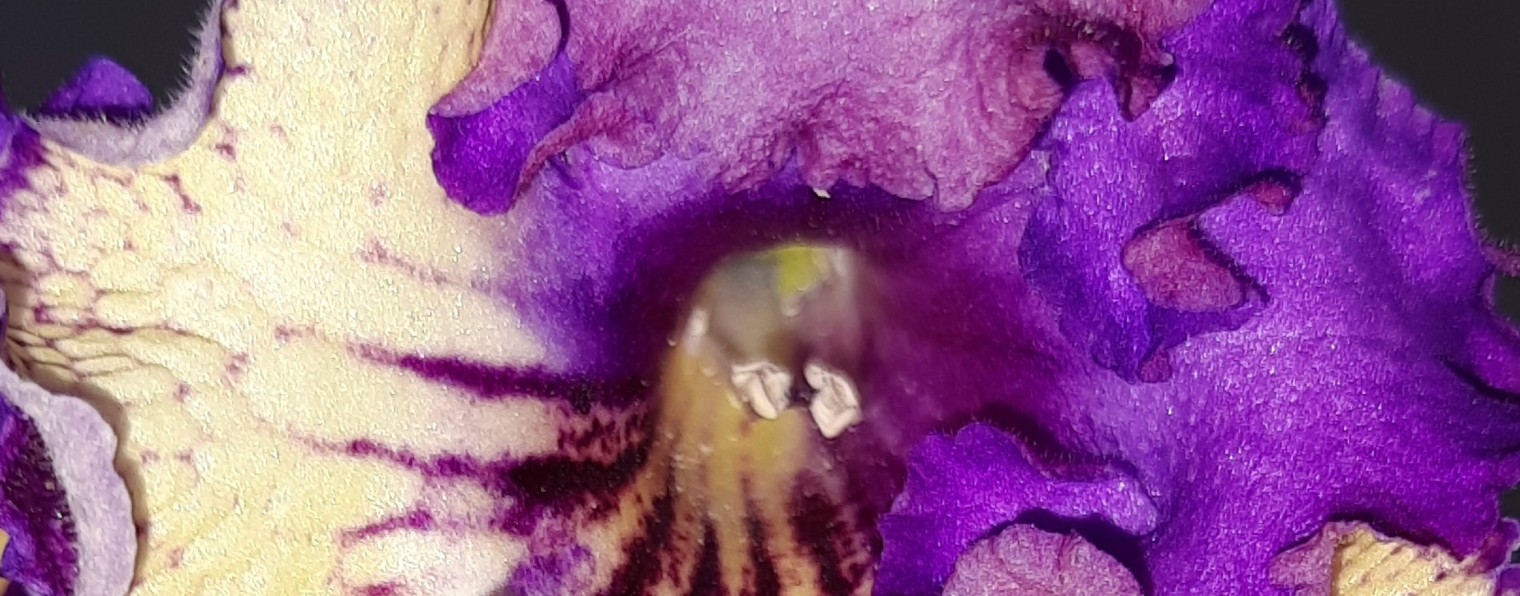 На линиях природы с Анной Босых