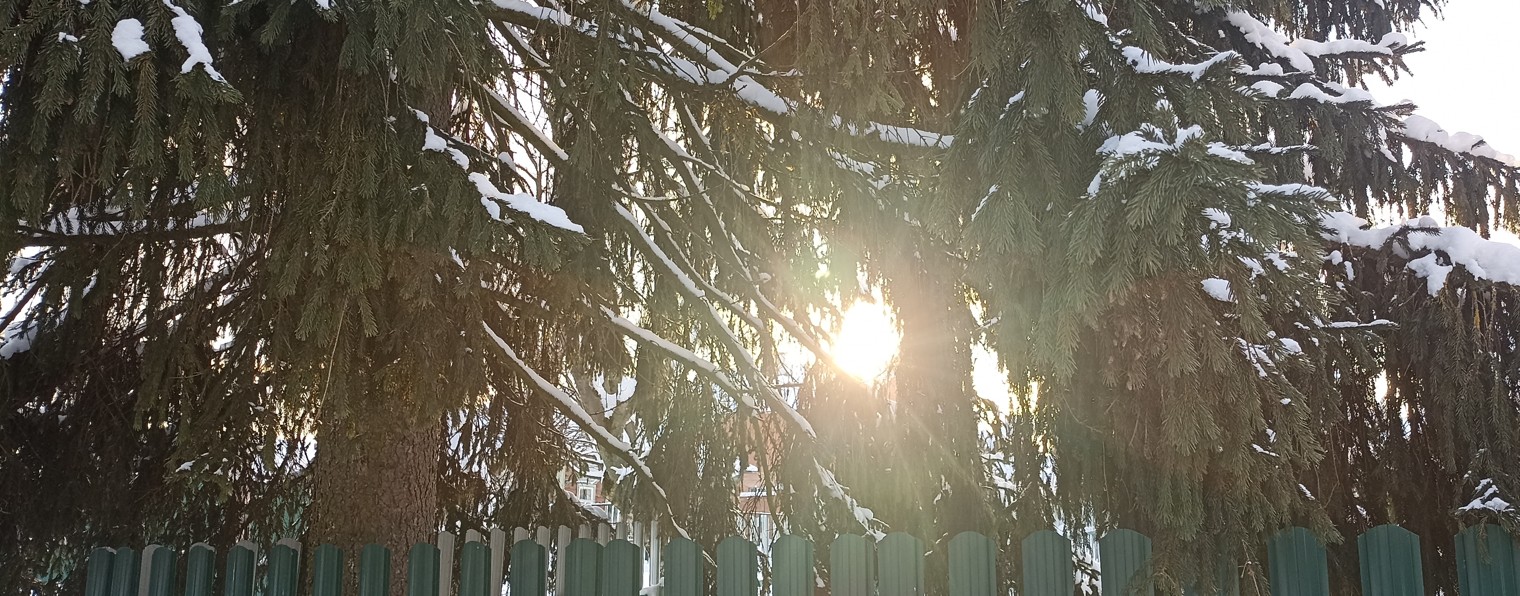 Татьяна Морозова (" Мой дневник ")