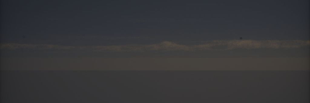 neurofox