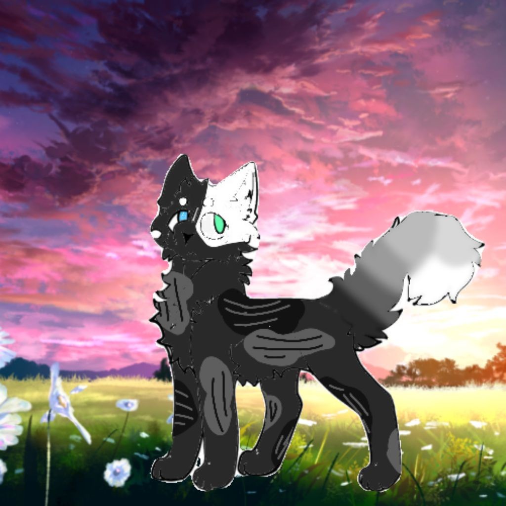 {~Black moon night WCUE~}