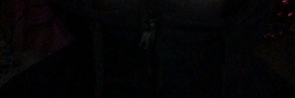 BlackФан.ЭдисонаПерца