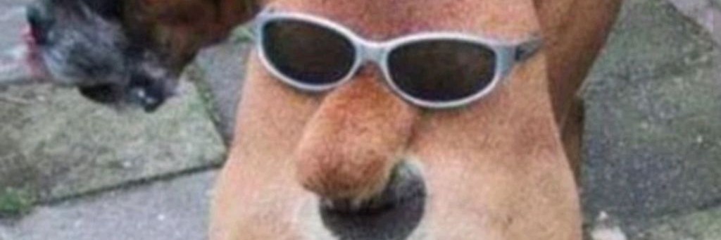 Рома и Егор