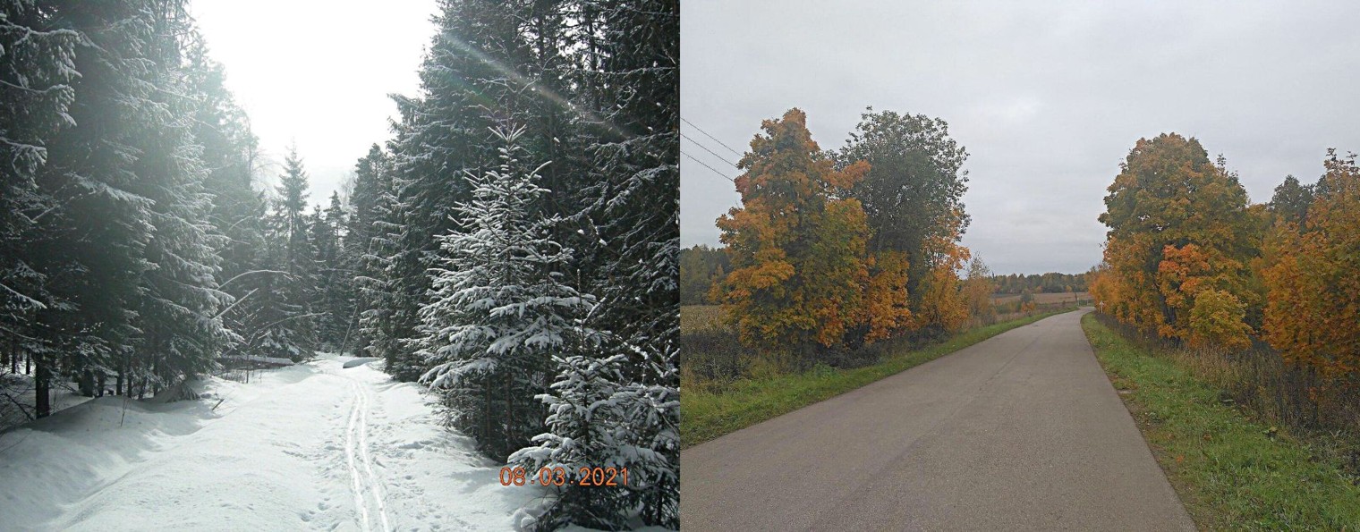 Прогулки и ВЕЛОпрогулки выходного дня...........