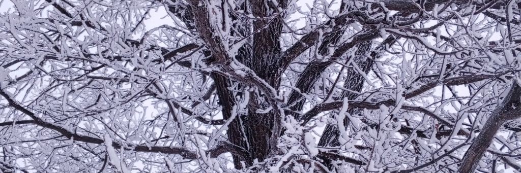 Юлия Хачатрян