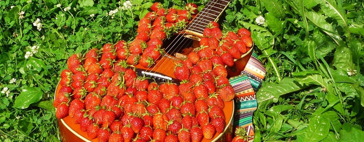 =Гитароzone= Акустик-рок-авторские,каверы- Эд Моро