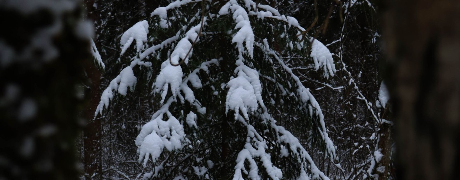 Оставь проблемы на потом...