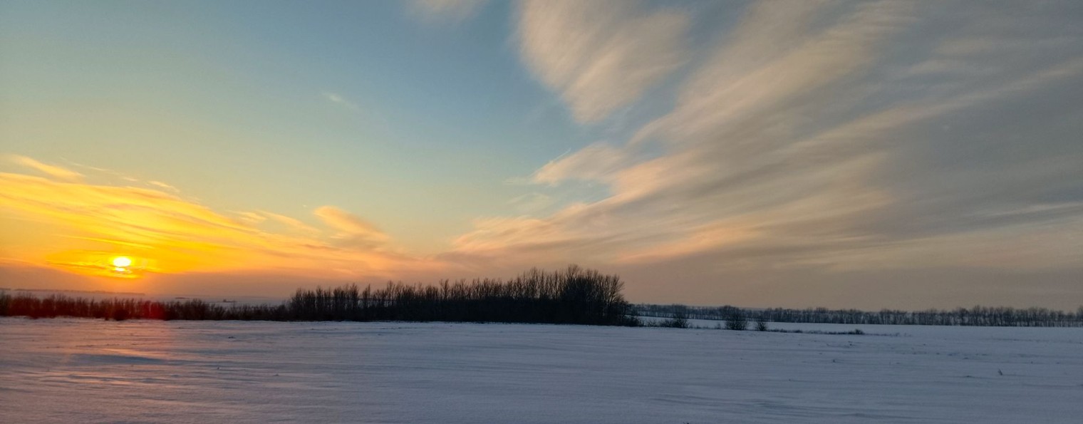 Лапки счастья 🐾