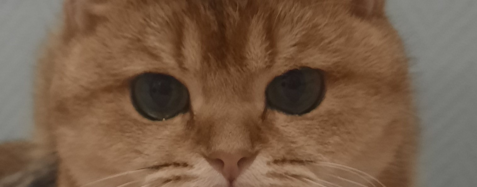 Викусик ❤️✅️