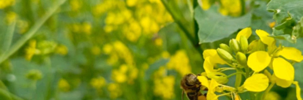 Жизнь В Деревне🏡Домашнее Хозяйство