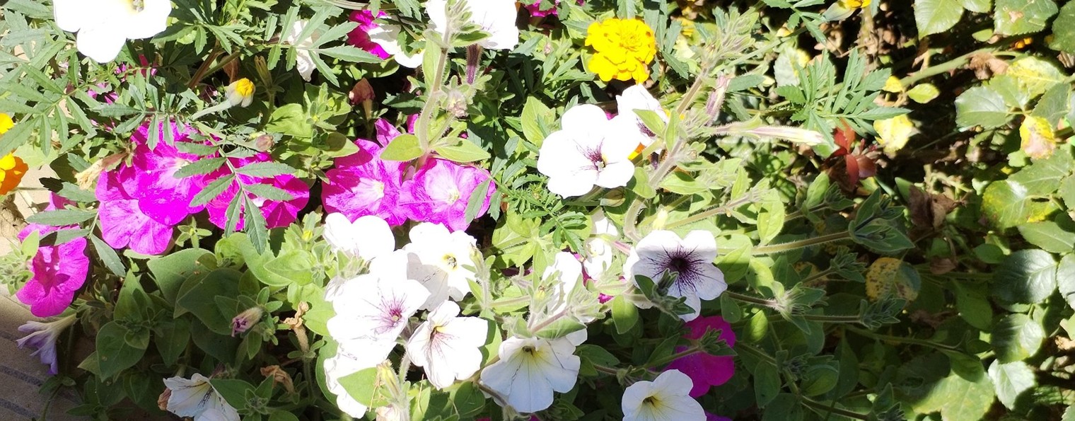 Наталья АСМР💞💗💓