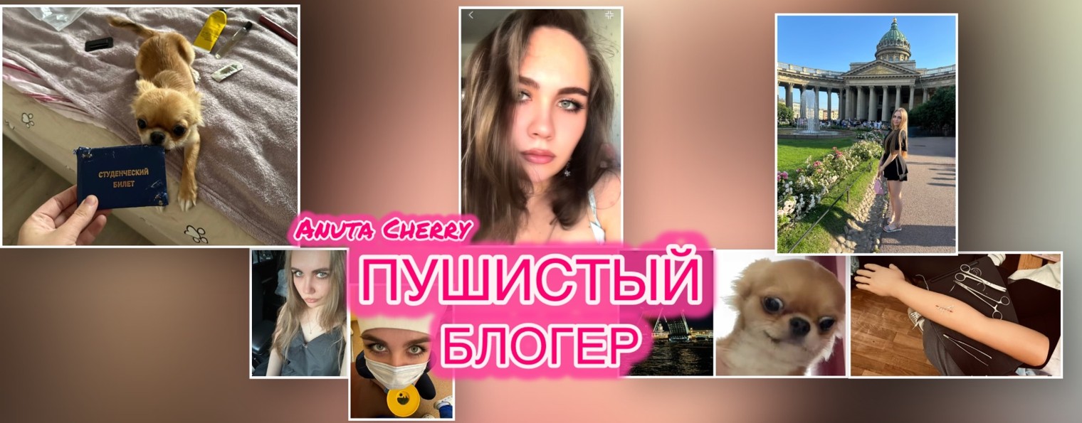 Пушистый блогер