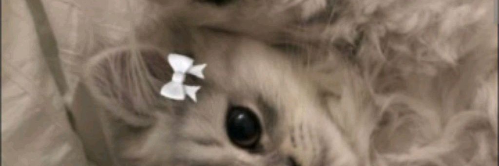 Иринка-Ириска