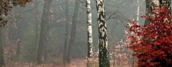 Александр колхоз