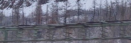 Арктическая МЭРИ