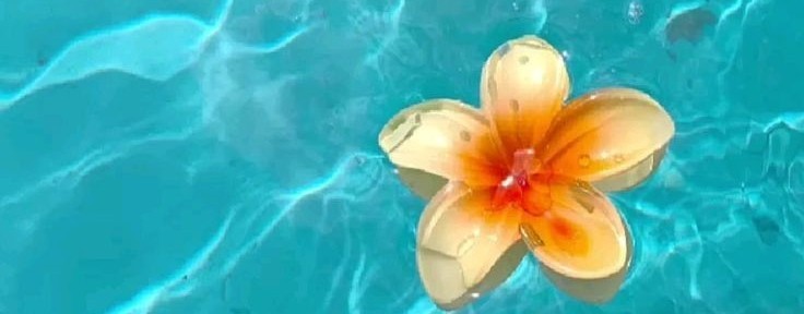 family stoun🐆🇧🇷