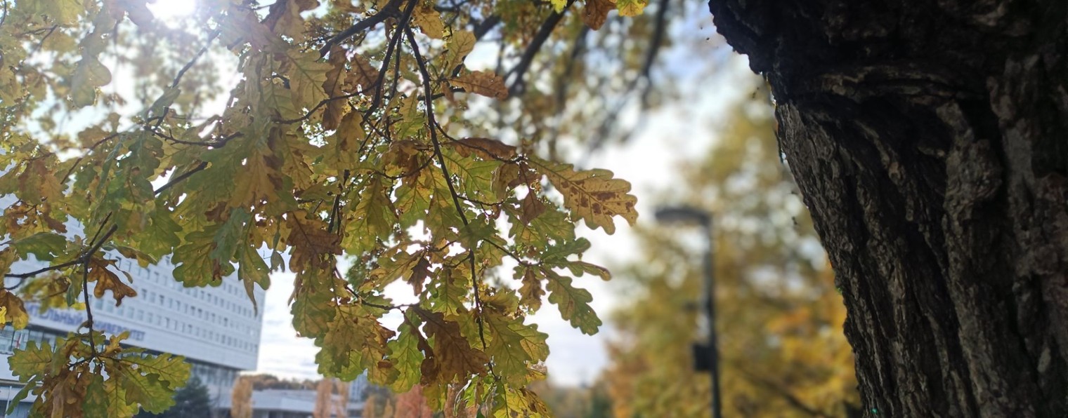 Инженер на крыльях.