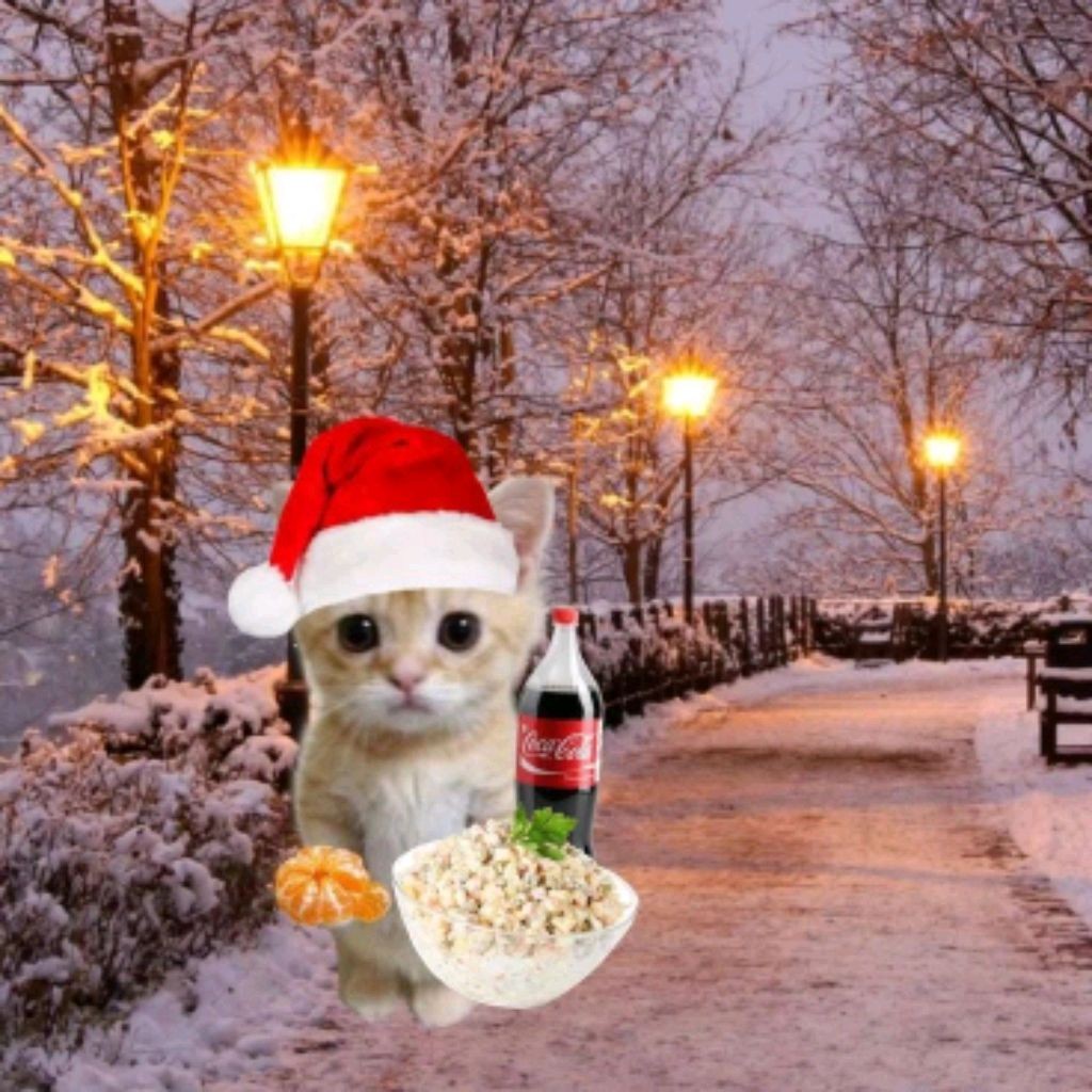 Кот@Софик *-#/💗🎀❤️