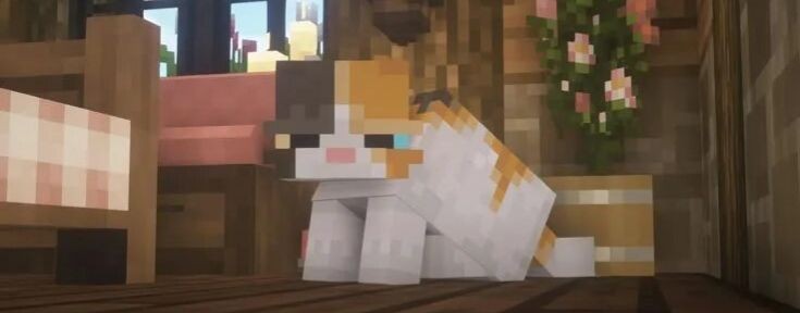 КЛАСИКЧЕЛ 196