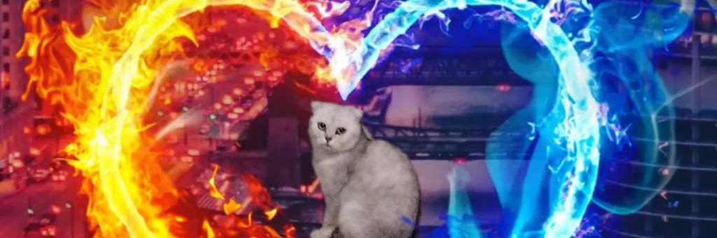 Ванчис🇦🇷👟