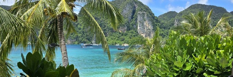 Эволюция Силы.