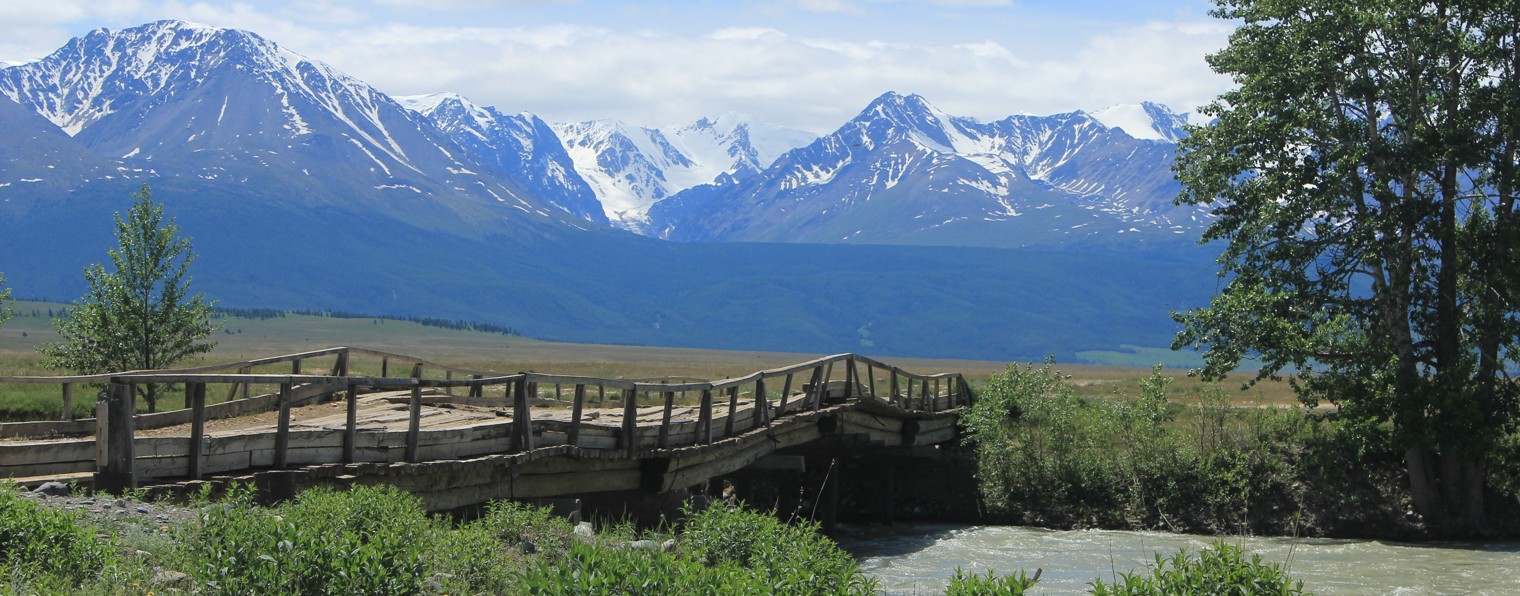 Бобрыдобры