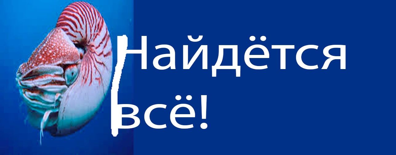 Найдётся всё!