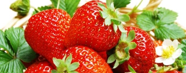 Познай сад и огород