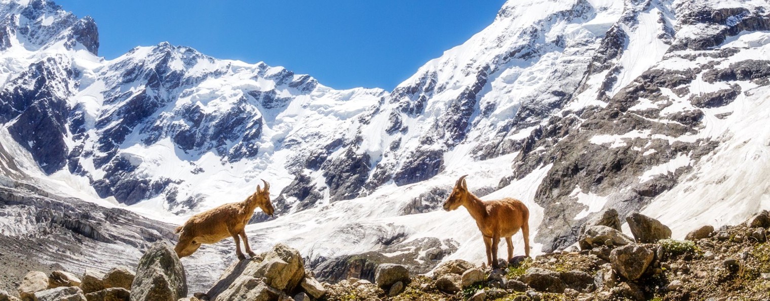 Кабардино-Балкарский Государственный  Заповедник