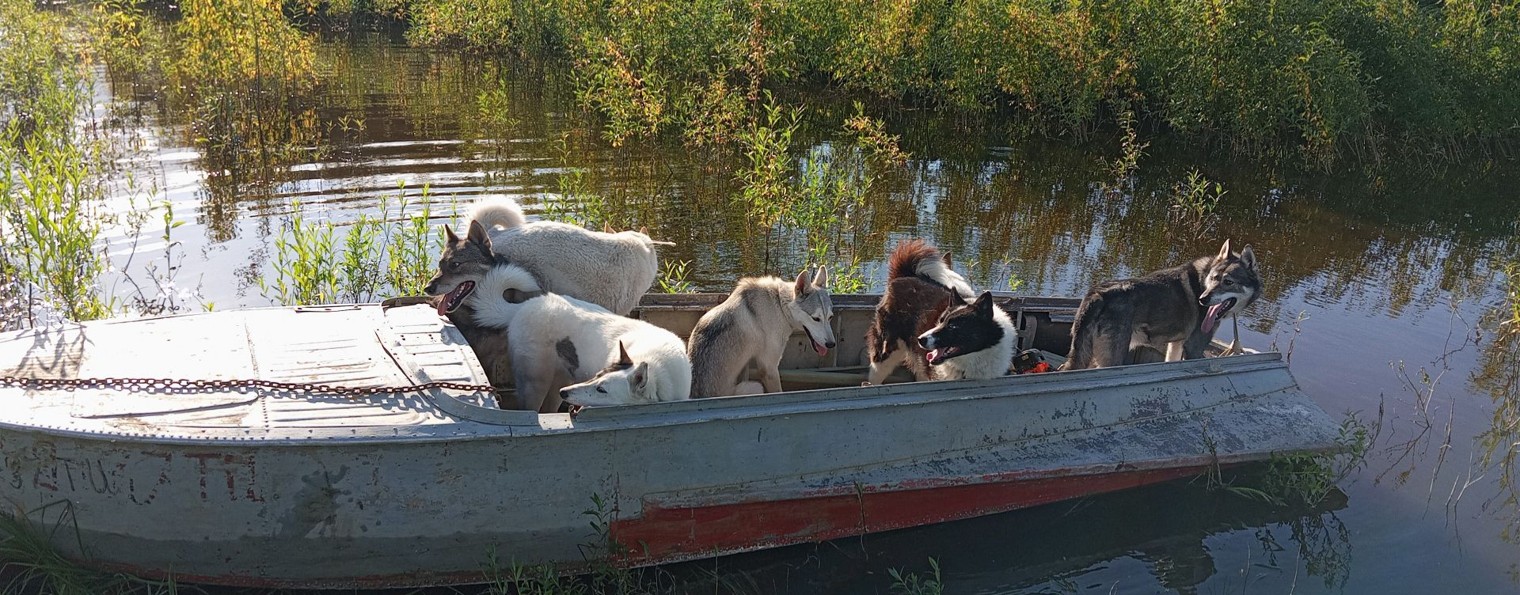 ОХОТА В ХМАО С ЛАЙКАМИ И НЕ ТОЛЬКО!......