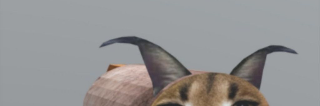 Шлёпа Пирожков