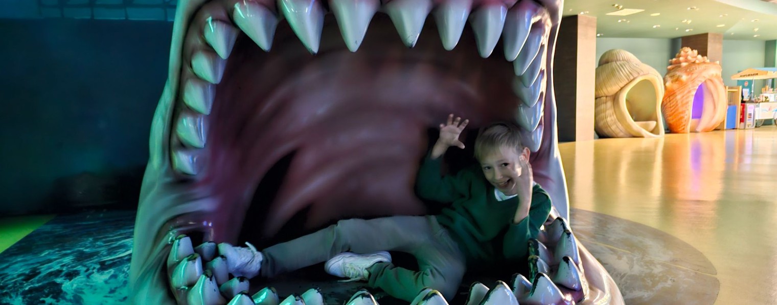 Антонов Антон 24