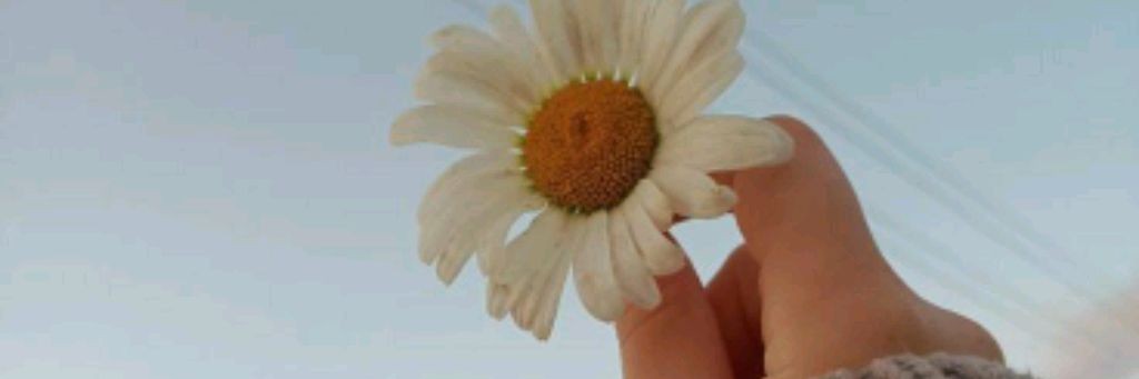 - :𝐟𝐚𝐦𝐢𝐥𝐲 𝐌𝐢𝐚!!. 🌷𖤐⭒๋࣭ ⭑☕:,