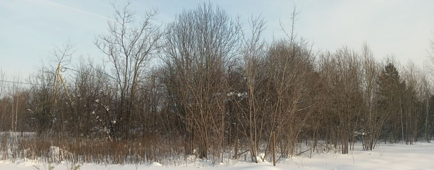 Гена Из Деревни.