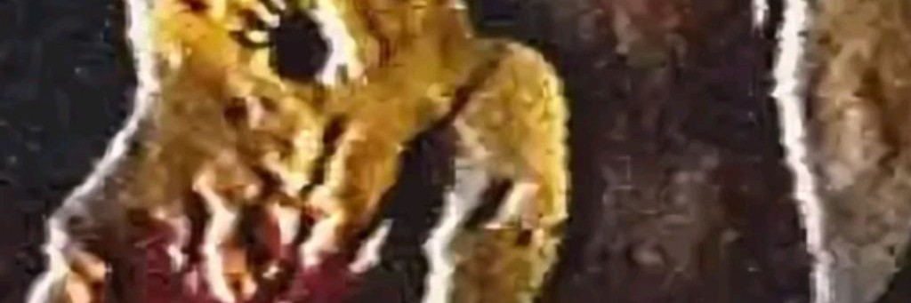 The pumpkin rabbit Фан VIIZI