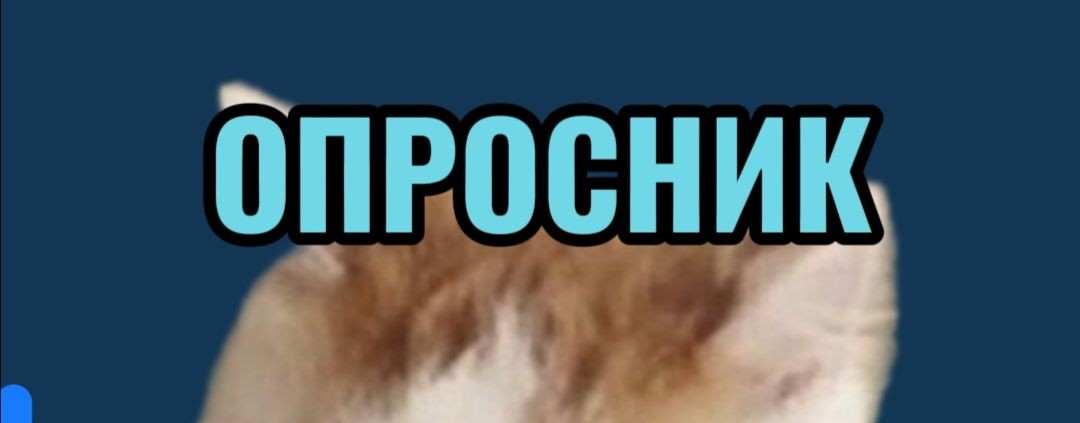 Опросник😁