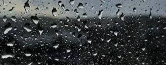 ◇•°𝙱𝚕𝚊𝚌𝚔 𝙴𝚊𝚛°•◇{𝙺𝙱}