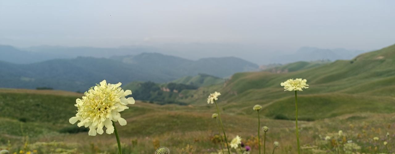 То что вижу