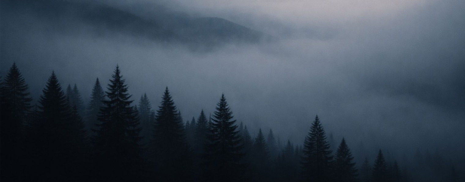 Эндрю Воронин