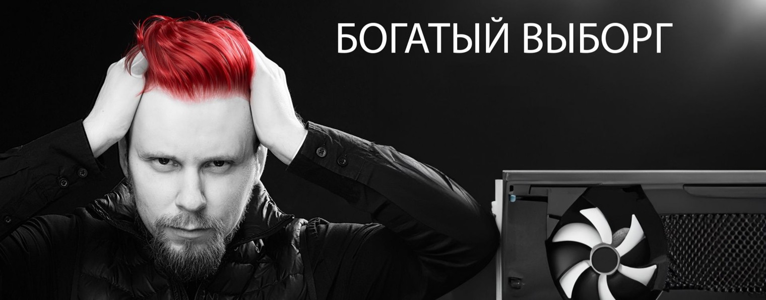 Богатый Выборг