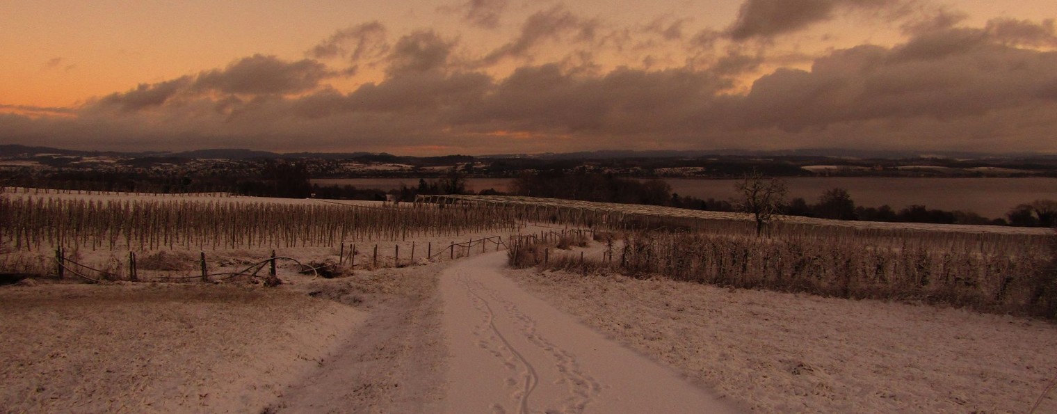 Mapk Клатт - Классический композитор, пианист (хоб