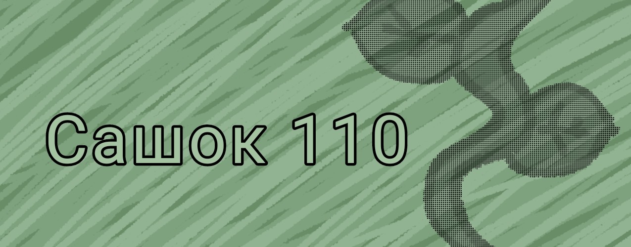 Сашок 110