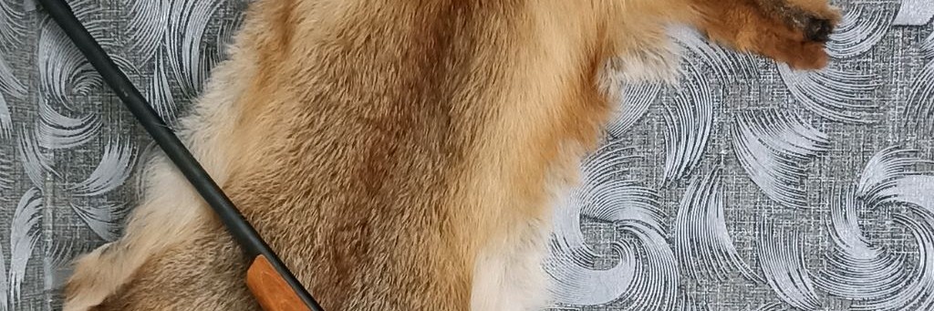 Ярослав И Ночная Охота С RikaNVOvod35