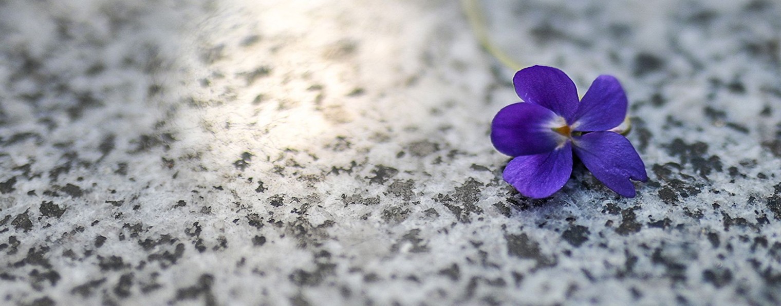 Светлана К.