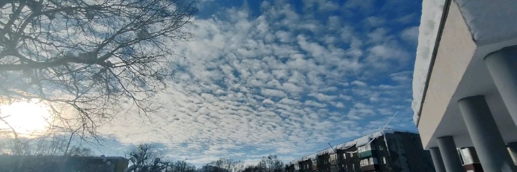 Жизнь на Камчатке