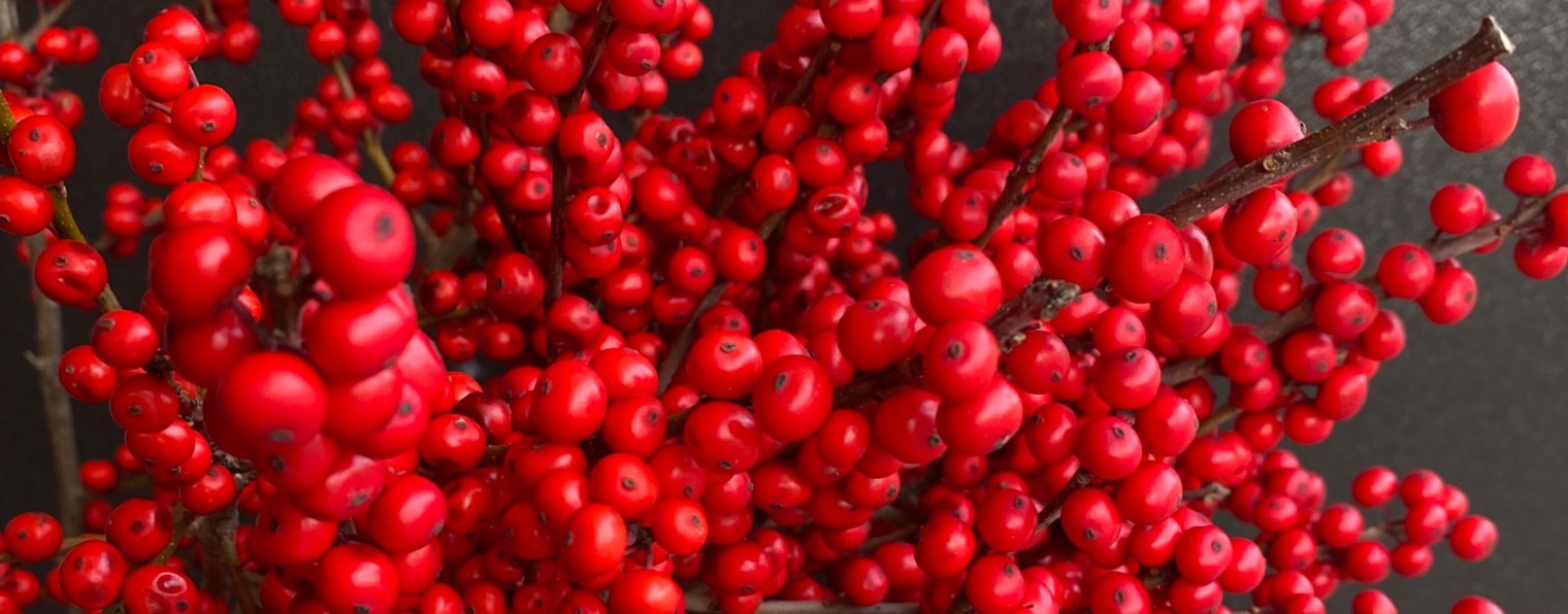 Будни флориста 🌸